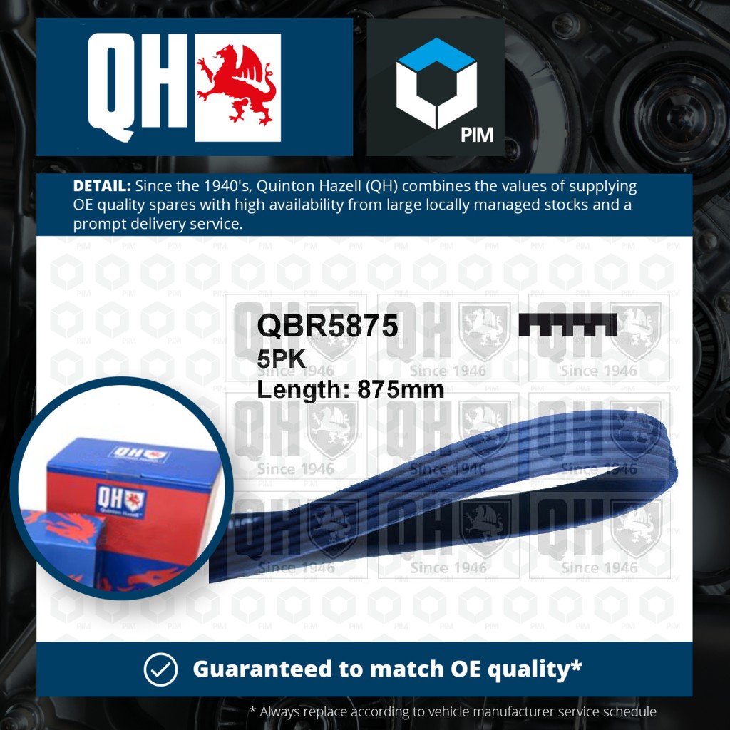 Cintura di trasmissione multi V 5 costole adatta a MITSUBISHI QH MB813806 qualità originale garantita Consegna tracciata gratuita. Spedizione del giorno lavorativo successivo nel Regno Unito.