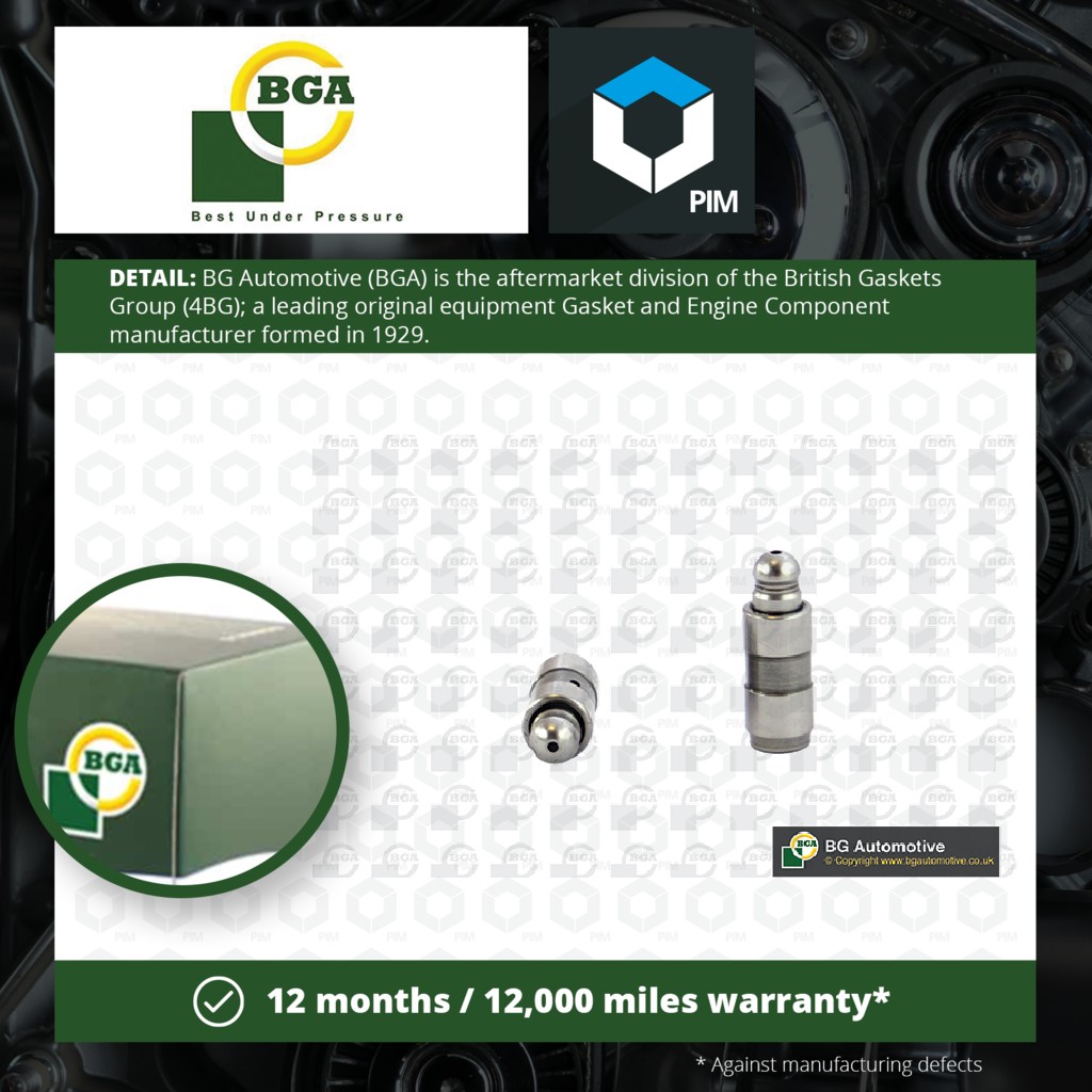 Tappeto idraulico / sollevatore adatto inseguimento cam BMW BGA 11332249817 qualità nuovo 15% di sconto con codice KING15. Min spesa £15. Max £75 di sconto